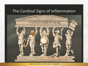 The Inflammation Situation Explained: The Good, The Bad, And The ...