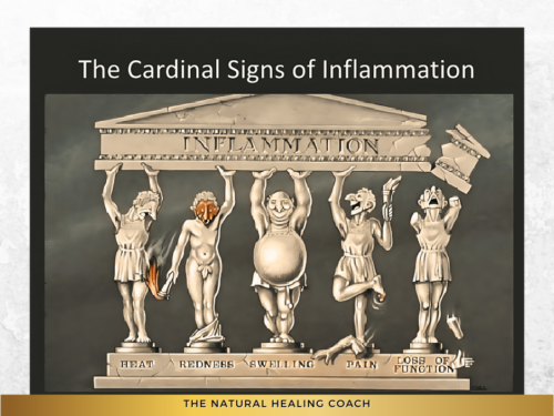 The Inflammation Situation Explained: The Good, The Bad, And The ...