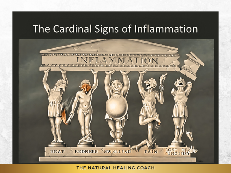 The Inflammation Situation Explained: The Good, The Bad, And The ...
